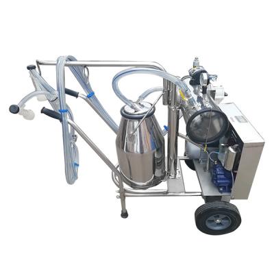 Chine équipement automatique de traite de moutons de la machine SS304 du lait 24cows/H à vendre