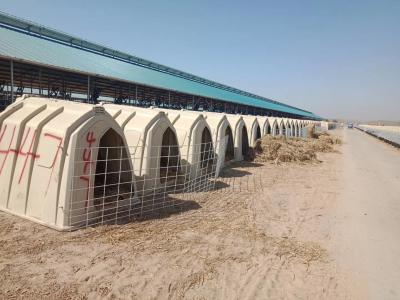 Cina Il vitello di plastica di iso del bestiame ripara la poli conigliera del vitello della cupola in vendita