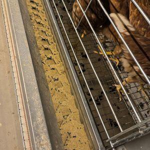 China Cheap Price Complete Auto Battery H Type Layer Cage System Laying Hens Cage for sale