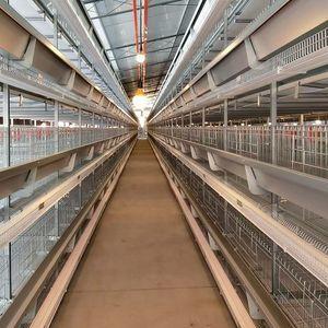 China Qm Four-Layer H-Type Automatic Egg Chicken Cages System for sale
