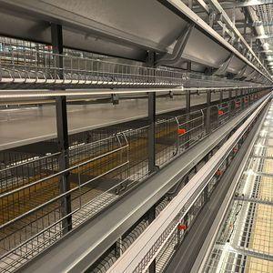 China Hot Sale Poultry Farm Equipment Laying Egg Hens Cage System Layer Battery Chicken Cage for sale