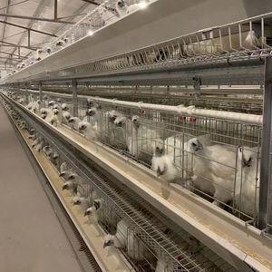 China Automatic Poultry Farming Equipments H Shaped Small Stacked Layer Chicken Cage for sale