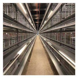 China Automatic Plastic Battery Cages for Poultry Farm Best Price Egg-Laying Hens House for Manufacturing Plants New Condition for sale