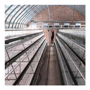 China a-Type Ladder Automatic Laying Hen Breeding Cage for sale
