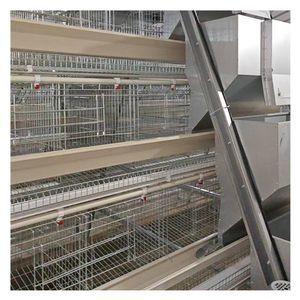 China Advanced Automatic Chicken Layer Cage for Poultry Farming for sale