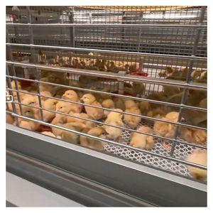 China Hot Sale Chicks Broiler Chicken Cages Farm Equipment Chicken Brooding Cage for sale