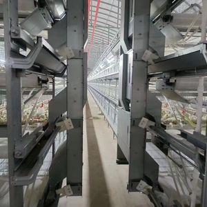 China Modern Design Chicken Farm Automatic Battery 3 Tiers 4 Tiers Day Old Baby Brooder Chick Cage for sale