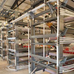 China High-Quality Multifunctional H-Type Broiler Cage for Poultry Farm for sale