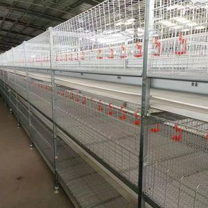 China Broiler Poultry Farming Equipment H Type Galvanized Automatic Battery Chicken Cages for Sale in Philippines for sale