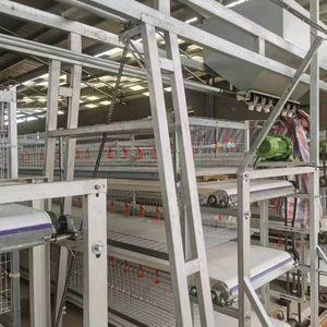 China Chicken Poultry Farm Equipment Broiler Battery Cage for Sale in The Philippines for sale