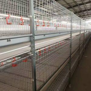 China Fully Automated Tunnel Ventilated Broiler Poultry Farm House Multi-Tier Chicken Cages in Philippines for sale