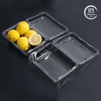 Quality Clear Plastic Clamshell Food Containers for Fruit Vegetable and Meat Packaging for sale