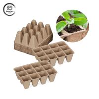 Quality Custom Biodegradable Sugarcane Bagasse 12 Cell Plant Trays Starter Kit For Seed Planting for sale