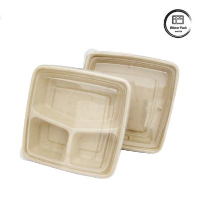 Chine 9 pouces Biodégradable Clamshell Containers à emporter Eco-friendly Stockage alimentaire jetable à vendre