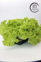 Quality Artificial Garden Vegetables and Fruits Plastic Seedling Trays Perfect for Decoration for sale