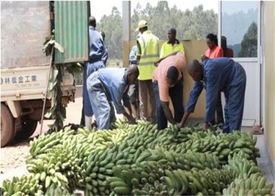 Cina La linea di lavorazione della frutta del melograno, macchine di rifornimento liquide automatiche gira il progetto chiave in vendita