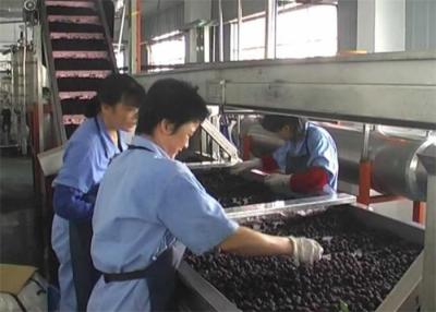 Cina Giri la linea 1000L/H di lavorazione della frutta di riempimento a caldo della bottiglia del progetto chiave in vendita
