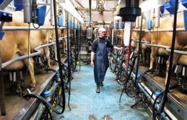 Cina 200KG/H ha asciugato l'impacchettatrice fresca del latte, linea di produzione di latte in polvere in vendita
