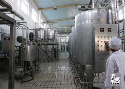 Cina Piccola pianta automatica di trattamento del latte pastorizzata per la bevanda del latte/elaborare in vendita