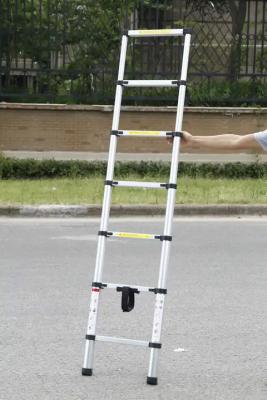 Chine Portable Easy Store Folding Step Manufacturers Loft Retractable Foldable Aluminum Telescopic Ladder à vendre