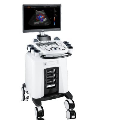 China Clinical Imaging Transcranial Color Doppler Ultrasound Machine System With 3 Probe Ports for sale