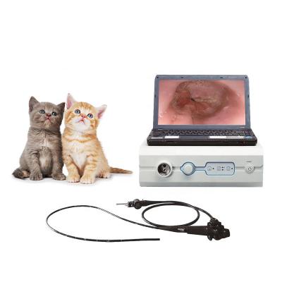 China Endoscopia veterinária portátil de 110 do sistema video do endoscópio do grau subministros médicos à venda