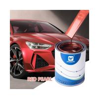 Quality Grey Polymetal Chameleon Paint 1K Automotive Paint For Car Liquid Coating for sale