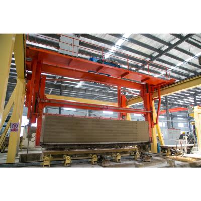 Cina Coancrete aerato sterilizzato nell'autoclave Produzione-ha finito il clamper del prodotto/la blocchiera del cemento rendimento elevato dell'imbracatura in vendita