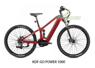 중국 성인 오프로드 전기 산악 자전거 48V 250W, 29 인치 산악 E 자전거 판매용