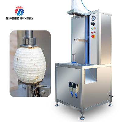 Peeler 1.0KW 120KG αυτόματο ηλεκτρικό peeler πεπονιών καρπουζιών κολοκύθας ανανά εμπορικό peeler