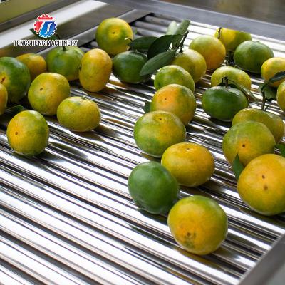 Cina Macchina asciugante all'ariasi parallela asciugante all'ariasi della macchina della frutta e di verdura di 350KG 380V grande in vendita