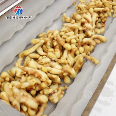Cina Linea di produzione per spazzolatura, pulizia a bolle, asciugatura, selezione e taglio in vendita