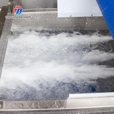 中国 野菜洗浄ライン アナナスの汁加工ライン アナナスの泡洗浄と振動式空気乾燥ライン 果物加工機械 アナナスの加工ライン 販売のため