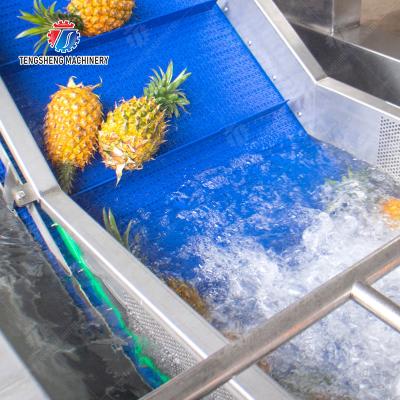 中国 野菜洗浄ライン アナナスの汁加工ライン アナナスの泡洗浄と振動式空気乾燥ライン 果物加工機械 アナナスの加工ライン 販売のため