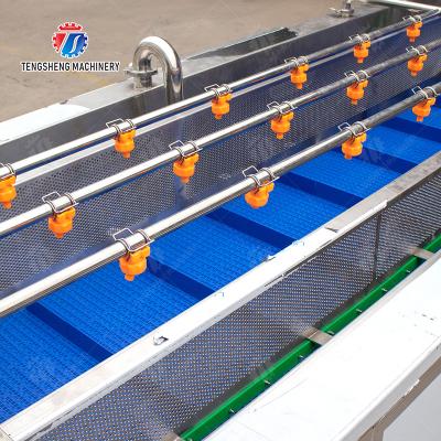 中国 野菜洗浄ライン アナナスの汁加工ライン アナナスの泡洗浄と振動式空気乾燥ライン 果物加工機械 アナナスの加工ライン 販売のため