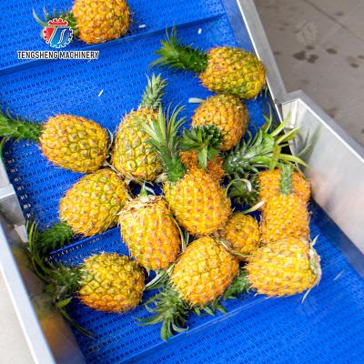 中国 野菜洗浄ライン アナナスの汁加工ライン アナナスの泡洗浄と振動式空気乾燥ライン 果物加工機械 アナナスの加工ライン 販売のため