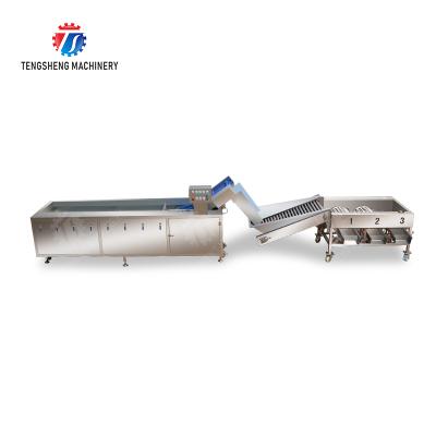 중국 생산성 향상을 위한 2025년 진공 포장 감자 튀김 과일 및 채소 가공 기계 판매용