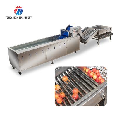 중국 생산성 향상을 위한 2025년 진공 포장 감자 튀김 과일 및 채소 가공 기계 판매용