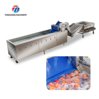 중국 생산성 향상을 위한 2025년 진공 포장 감자 튀김 과일 및 채소 가공 기계 판매용