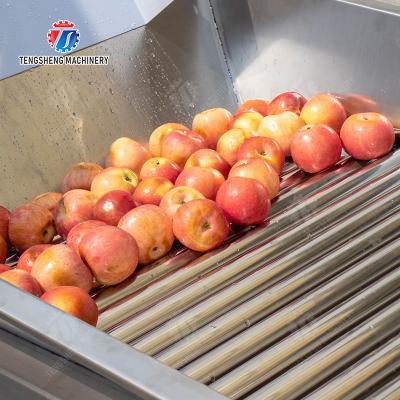 중국 생산성 향상을 위한 2025년 진공 포장 감자 튀김 과일 및 채소 가공 기계 판매용