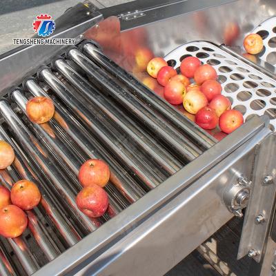 중국 생산성 향상을 위한 2025년 진공 포장 감자 튀김 과일 및 채소 가공 기계 판매용