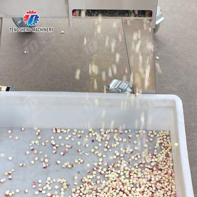 중국 최종 제품 X를 위한 과일과 채소 가공 라인 판매용