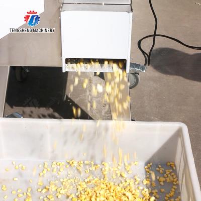 중국 최종 제품 X를 위한 과일과 채소 가공 라인 판매용