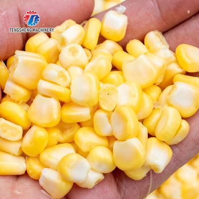 중국 최종 제품 X를 위한 과일과 채소 가공 라인 판매용