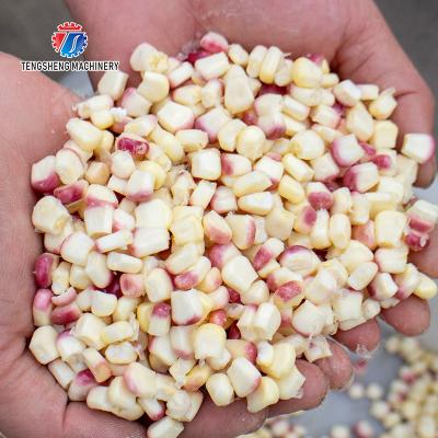 중국 최종 제품 X를 위한 과일과 채소 가공 라인 판매용