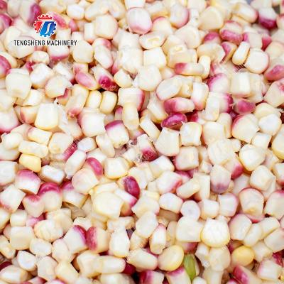 중국 최종 제품 X를 위한 과일과 채소 가공 라인 판매용