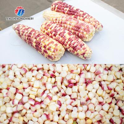 중국 최종 제품 X를 위한 과일과 채소 가공 라인 판매용