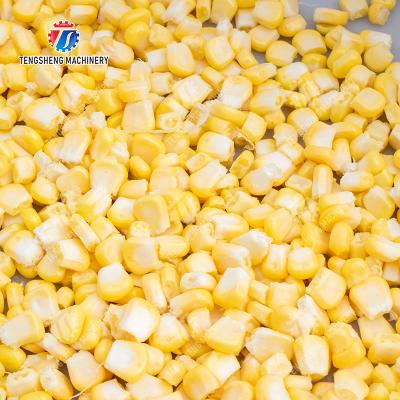 중국 최종 제품 X를 위한 과일과 채소 가공 라인 판매용