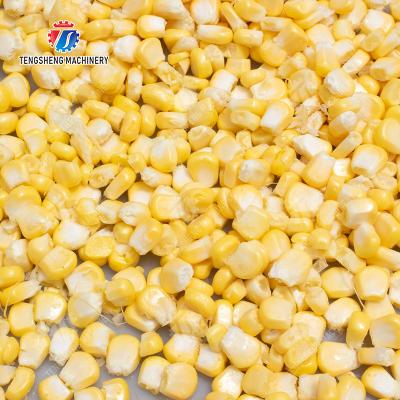 중국 최종 제품 X를 위한 과일과 채소 가공 라인 판매용