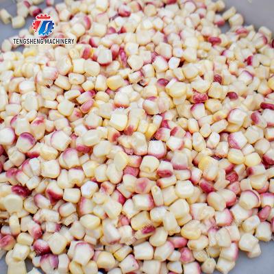 중국 최종 제품 X를 위한 과일과 채소 가공 라인 판매용